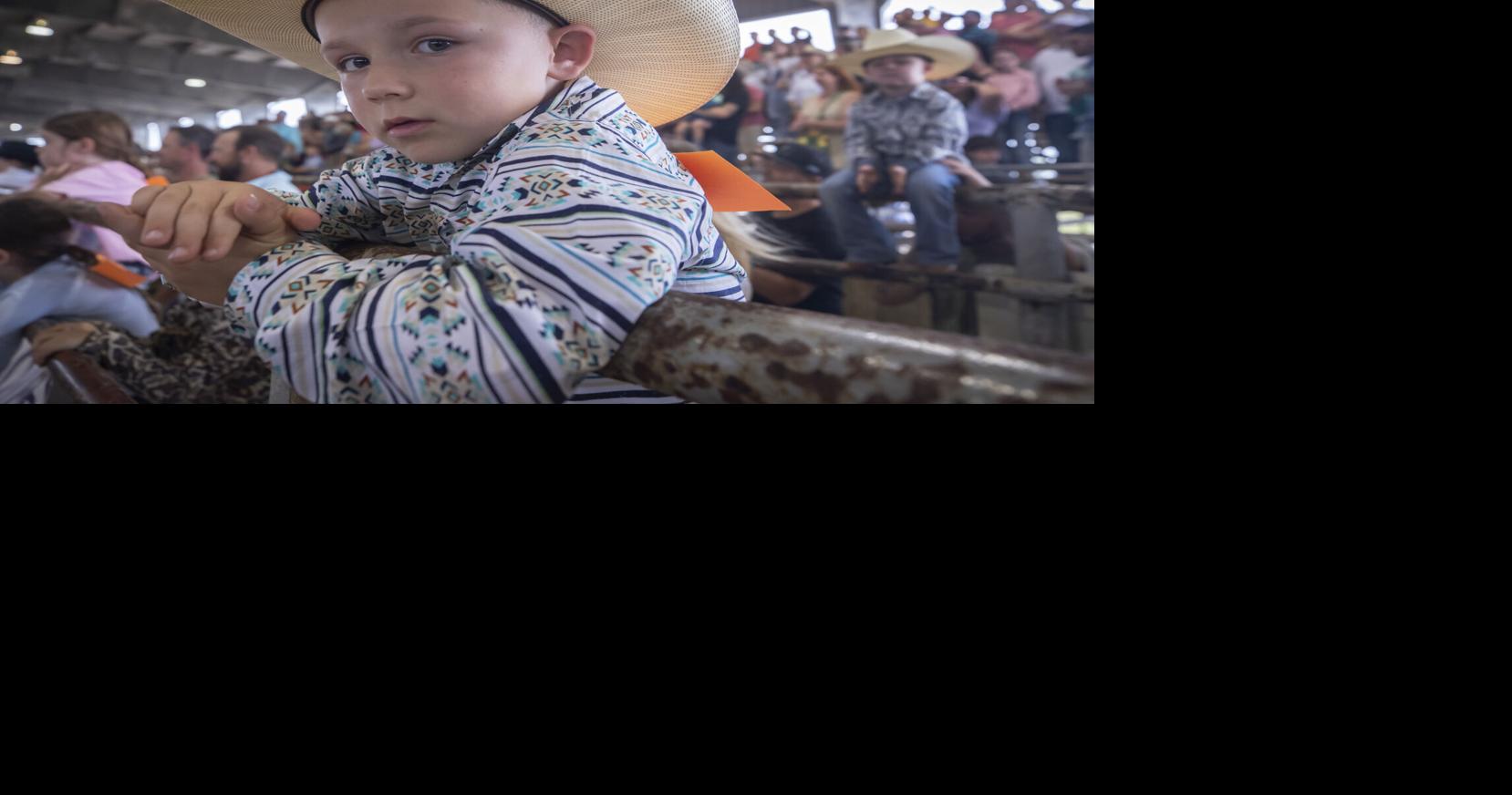 Why the Galveston County Fair & Rodeo? Let us count the reasons ...