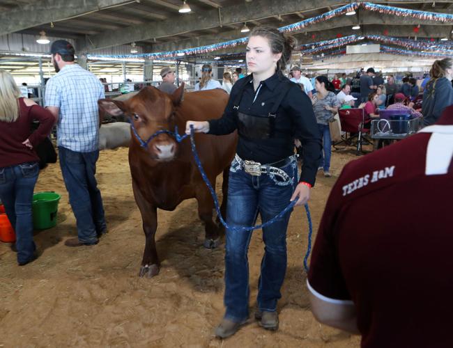 Photos: Galveston County Fair and Rodeo | In Focus | The Daily News