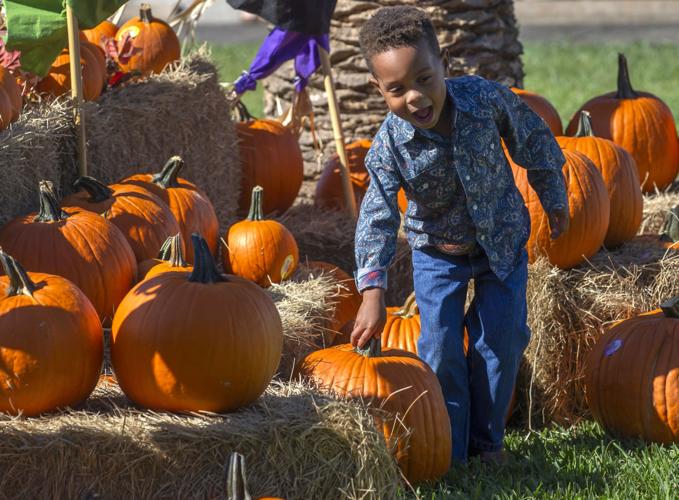 La Marque ushers in fall with Bayou Fest | Local News | The Daily News