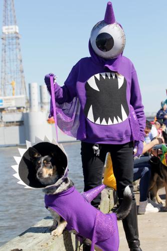 Krewe of Barkus and Meoux and the Children's Parade | Local News | The ...