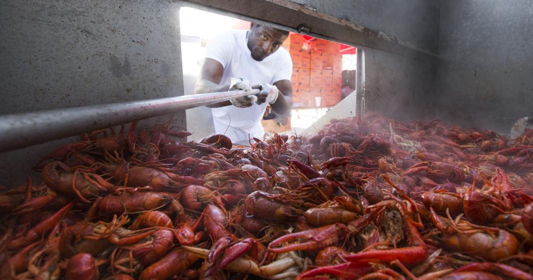 Mild winter yields 'awesome' crawfish season, seafood market owner says ...