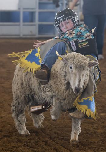 Galveston County Fair & Rodeo continues | Local News | The Daily News