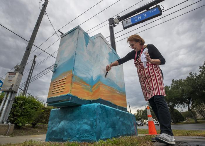 Amped-up art: League City electrical boxes turned into mini murals ...