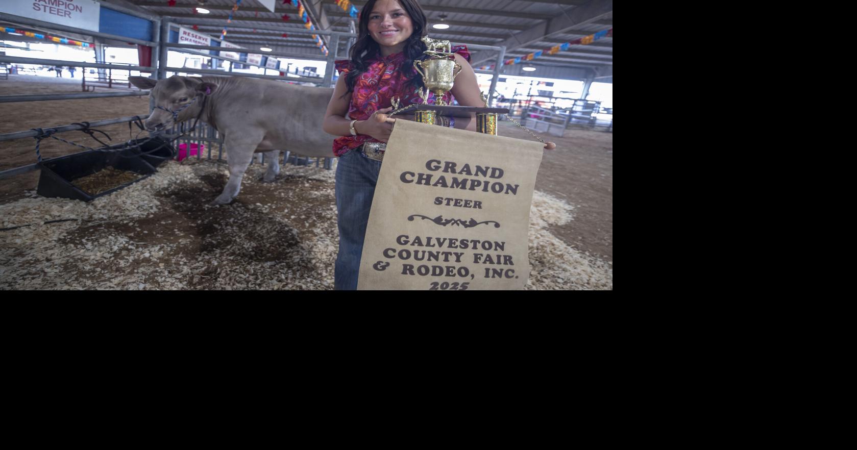 Galveston County Fair & Rodeo Junior Livestock holds auction | Local ...