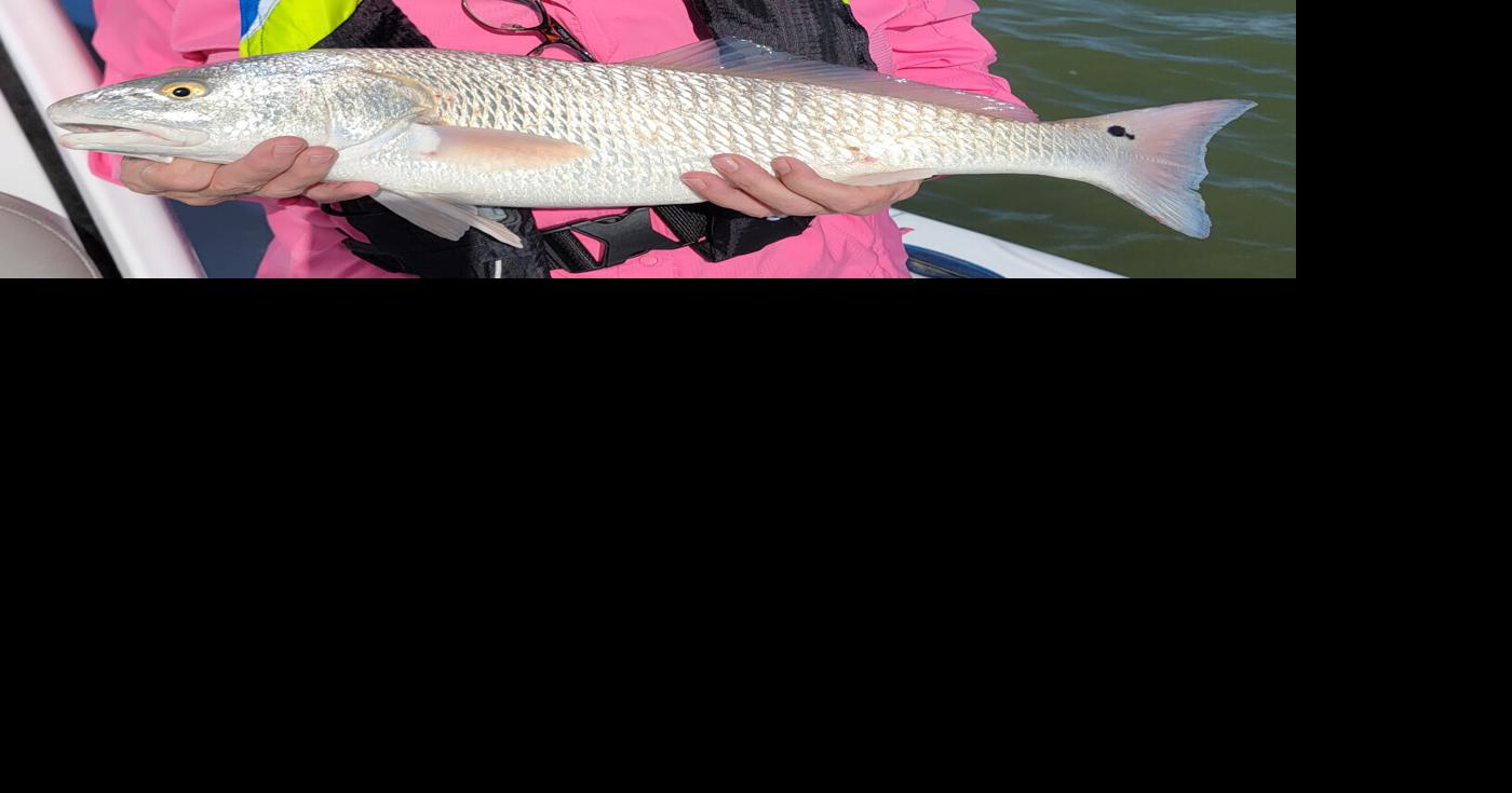 Good catches reported before cold, windy Saturday | Reel Report | The ...