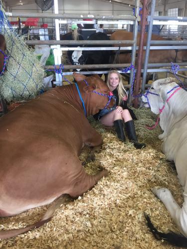 Friendswood ISD happenings | Applause | The Daily News