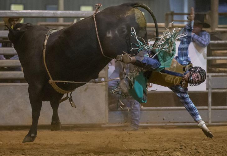 Photos: Galveston County Fair and Rodeo Opens | In Focus | The Daily News