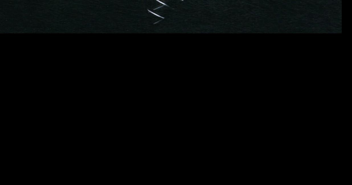 William Neil Floyd | Obituaries | The Daily News