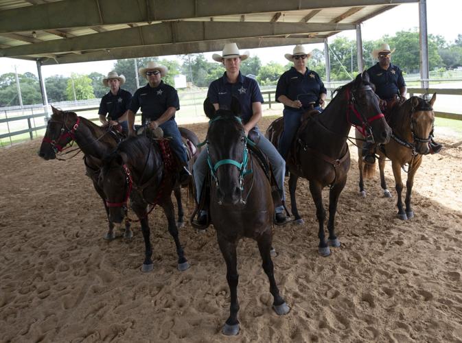 Galveston Sheriff's Office is mounting up | Local News | The Daily News