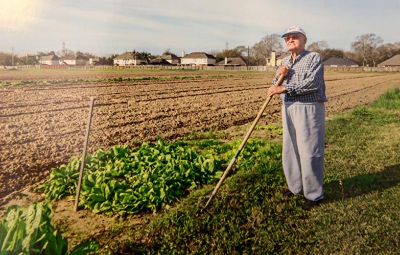 Sale of Daro farm marks end of era, family says | Local News | The ...