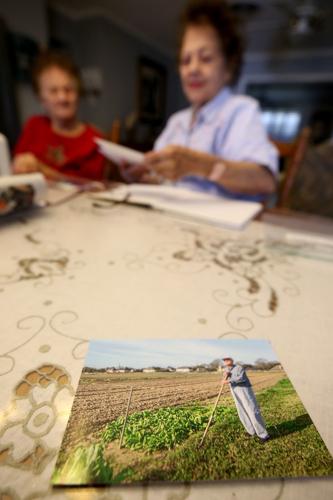 Sale of Daro farm marks end of era, family says | Local News | The ...