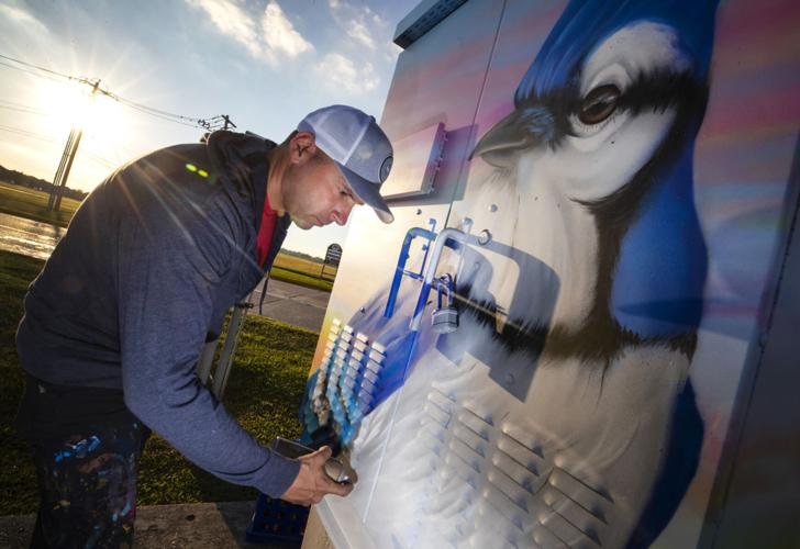 Amped-up art: League City electrical boxes turned into mini murals ...