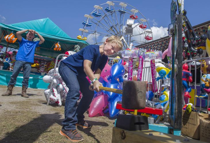 Photos: Mutton Bustin' and More at the Galveston County Fair and Rodeo ...