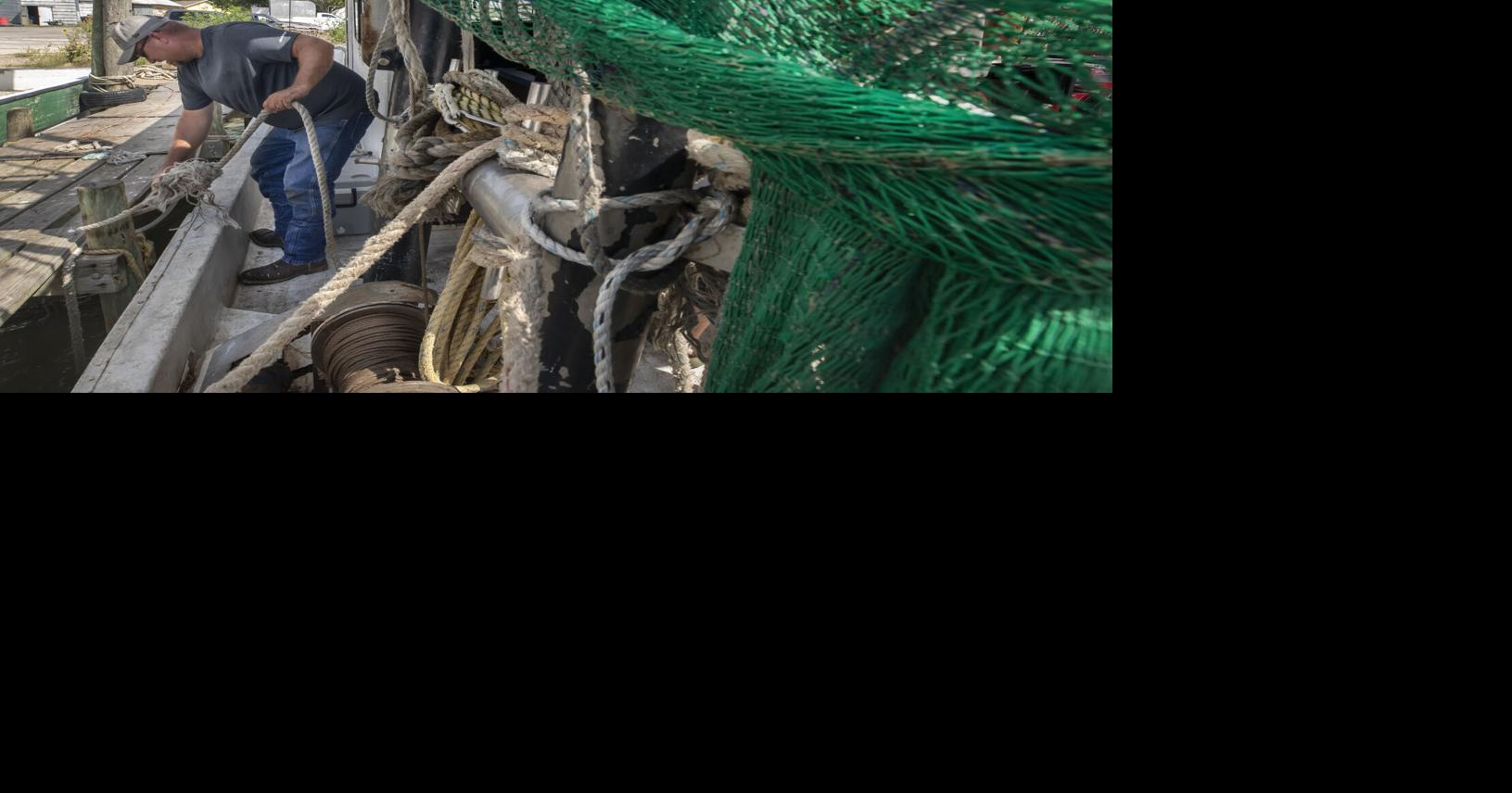 Harried shrimpers pessimistic as Gulf season opens | Local News | The ...