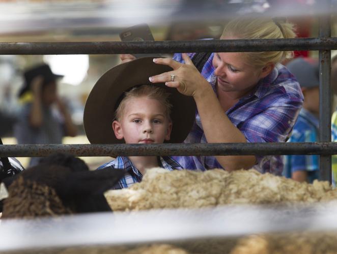Photos: 44th Hitchcock Good Ole Days Celebration | In Focus | The Daily ...