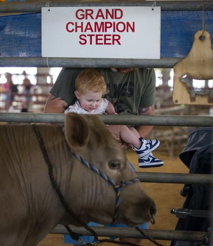 Galveston County Fair & Rodeo winds down | Local News | The Daily News
