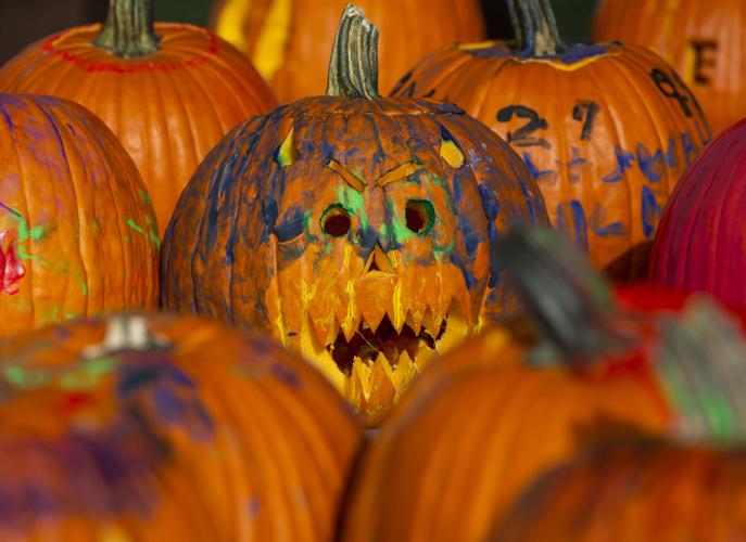 La Marque celebrates Bayou Fest | Local News | The Daily News