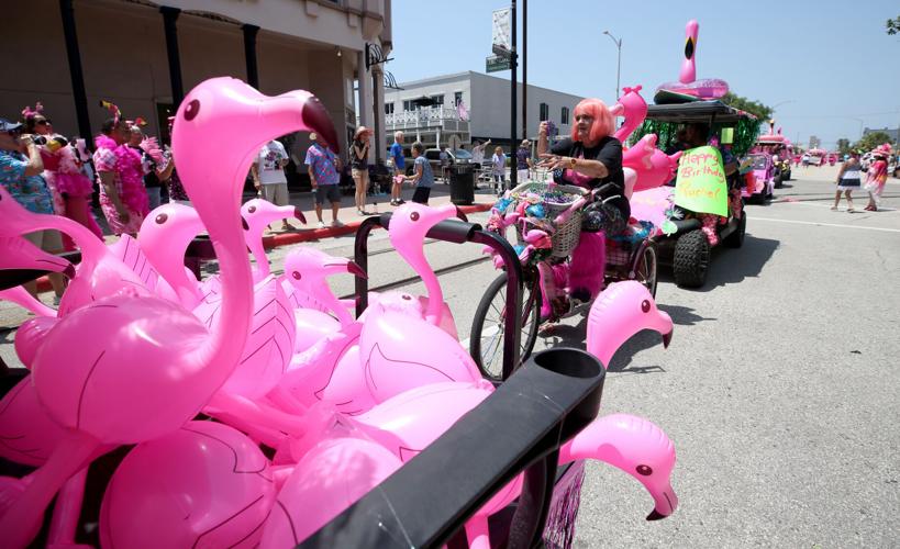 Flamingo fans celebrate with flamboyant parade | Local News | The Daily ...