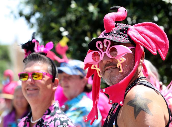 Flamingo fans celebrate with flamboyant parade | Local News | The Daily ...