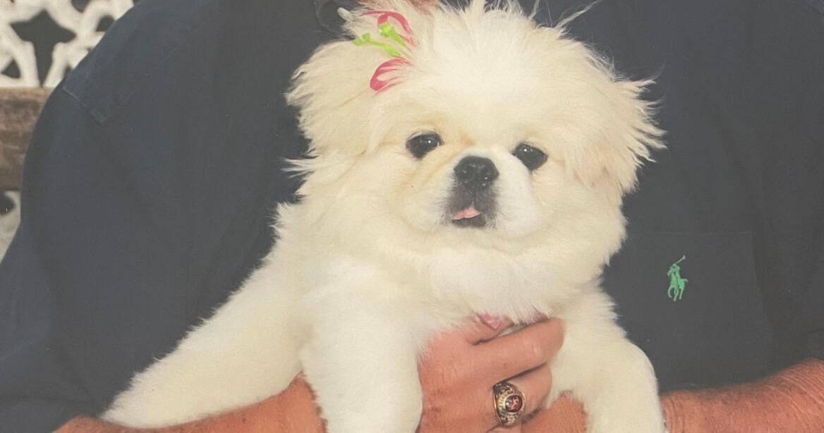 James Dale Atchley, Sr. | Obituaries | The Daily News