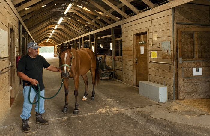 For many coastal families, ranching is a family tradition | Features ...