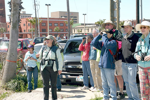 New bird enthusiasts introduced to local birds | Local News | The Daily ...