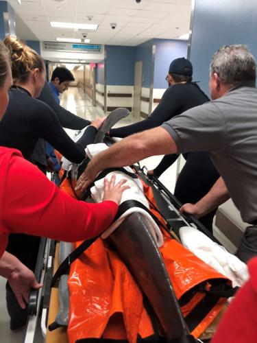 Stranded dolphin gets CT scan at UTMB in Galveston | Local News | The ...