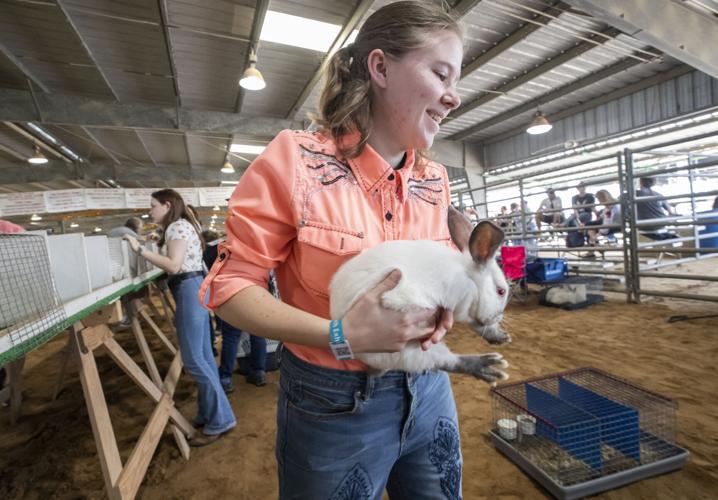 Galveston County Fair & Rodeo continues | Local News | The Daily News