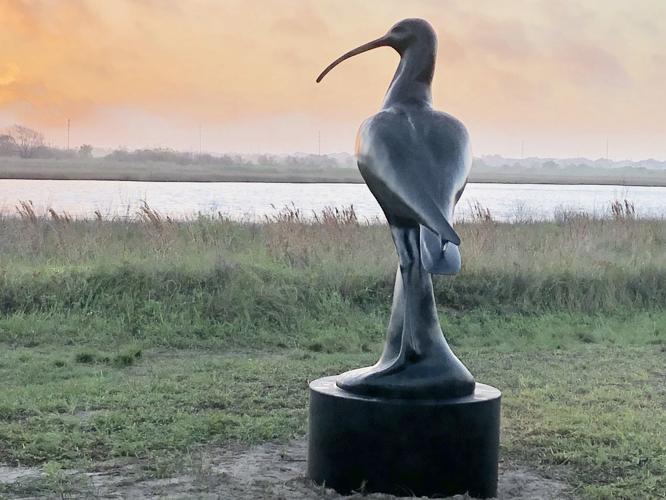 FeatherFest canceled but migrating birds still headed to Galveston ...