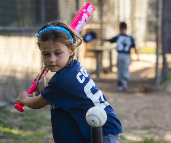 Long stalled, $35 million League City sports complex is back in play ...