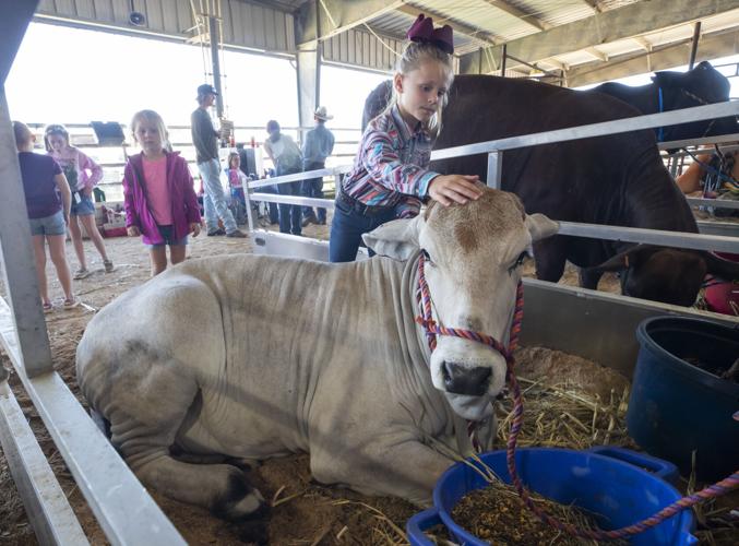 85th Annual Galveston County Fair & Rodeo wraps up | Local News | The ...