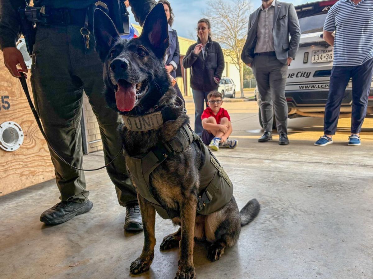 Bulletin Board | Bulletin Board | The Daily News