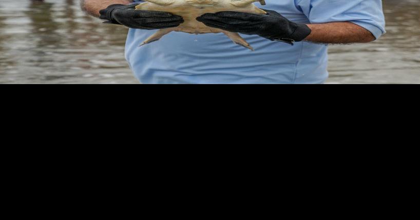 New training class begins in February | Leisure | The Daily News