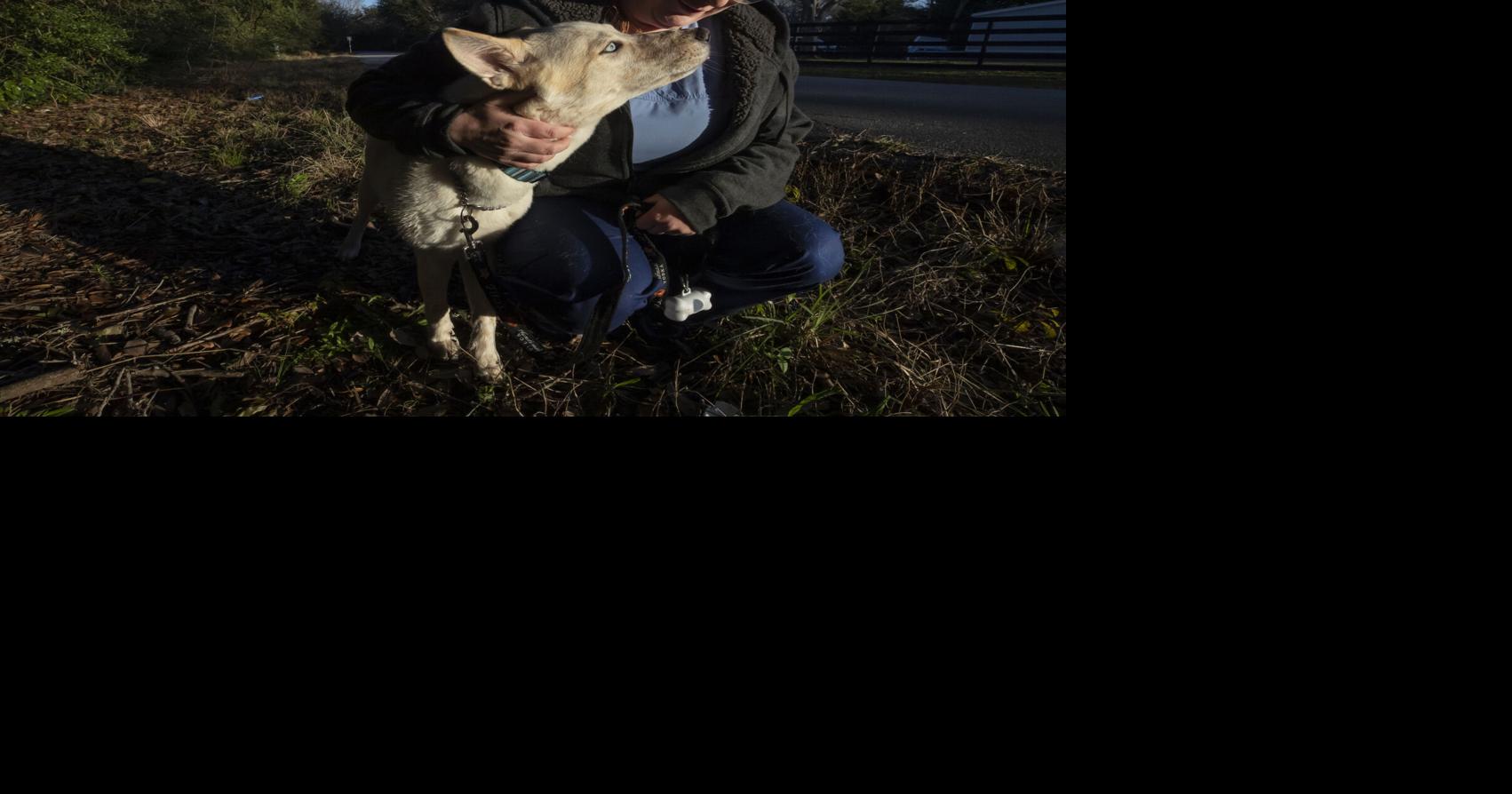 Woman worries about mutilated animals dumped in Bacliff neighborhood ...