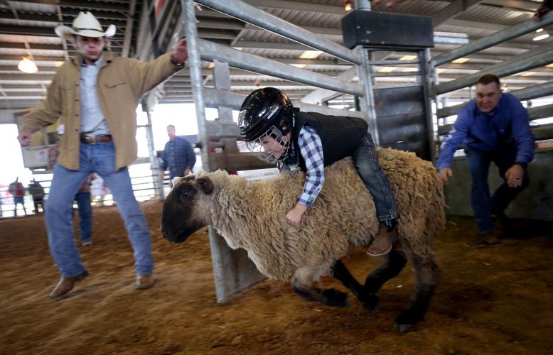 Photos: Saturday at the Galveston County Fair & Rodeo | In Focus | The ...