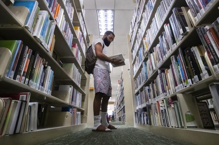 Big library numbers deserve more research, council says | Local News ...