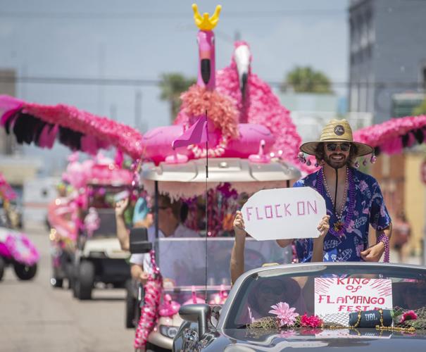 ‘Flamingos’ flock to downtown Galveston for annual parade | Local News ...