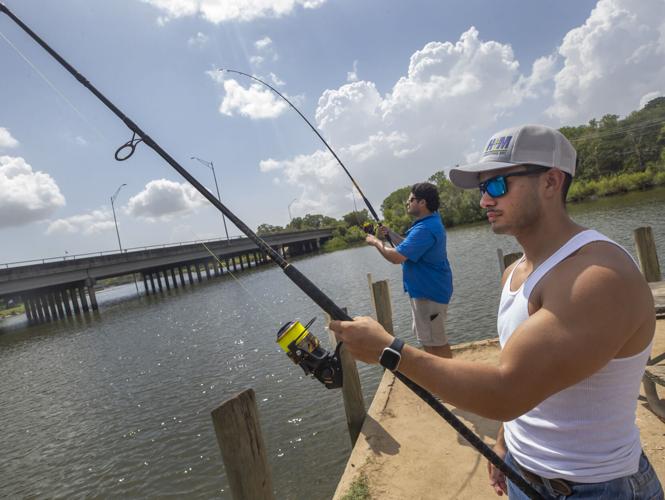 Heat, drought blamed for Dickinson Bayou fish deaths | Local News | The ...