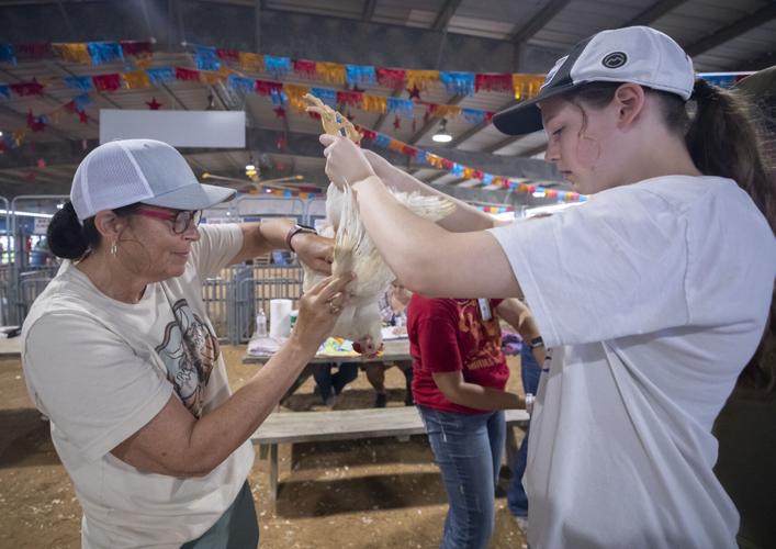 87th annual Galveston County Fair & Rodeo has busy weekend | Local News ...