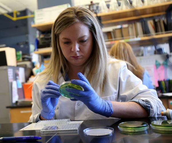 'Behind the curtains' in Texas' only oyster-testing lab | Local News ...