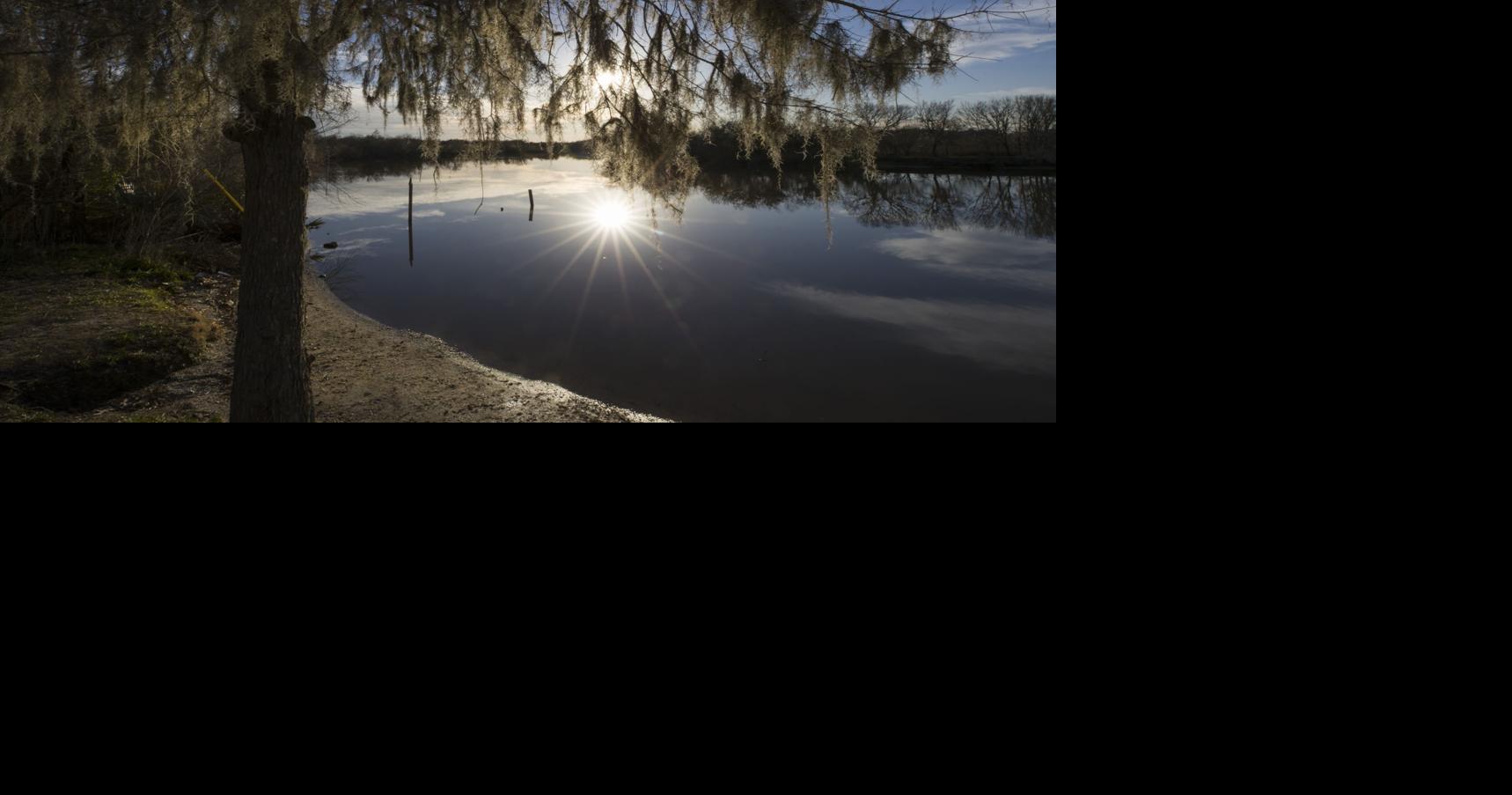 League City council eases rules for removing trees | Local News | The ...
