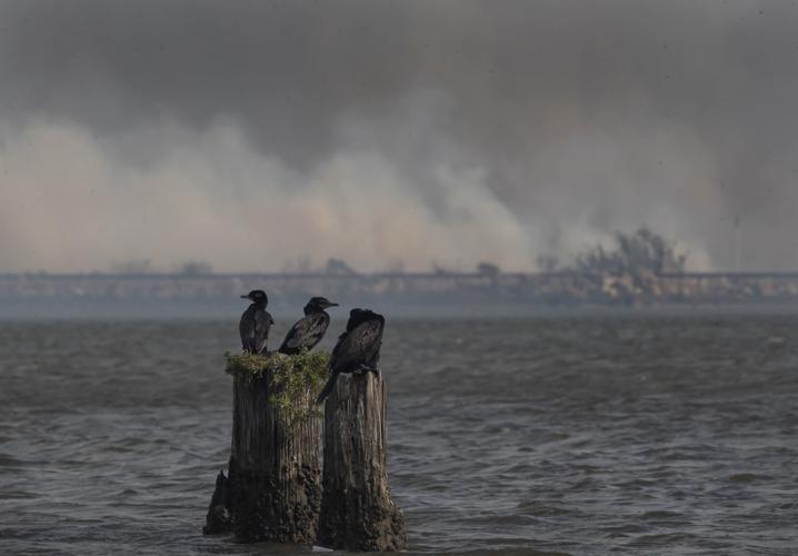 Texas City marsh fire continues to burn | Local News | The Daily News