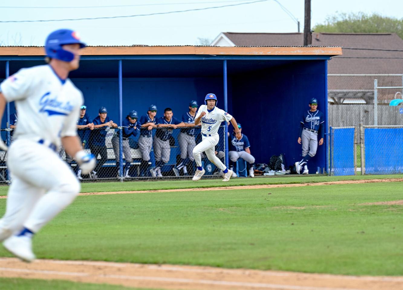 Galveston College baseball wins weeklong series with ACC | Free College ...