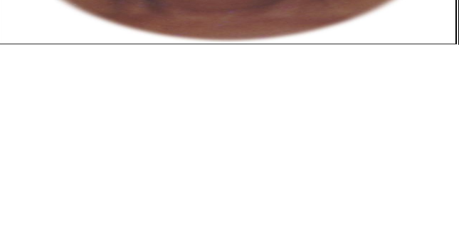 Margaret Diane Myles | Obituaries | The Daily News