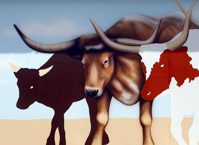 League City artist creates mural for Butler Longhorn Museum | Local ...