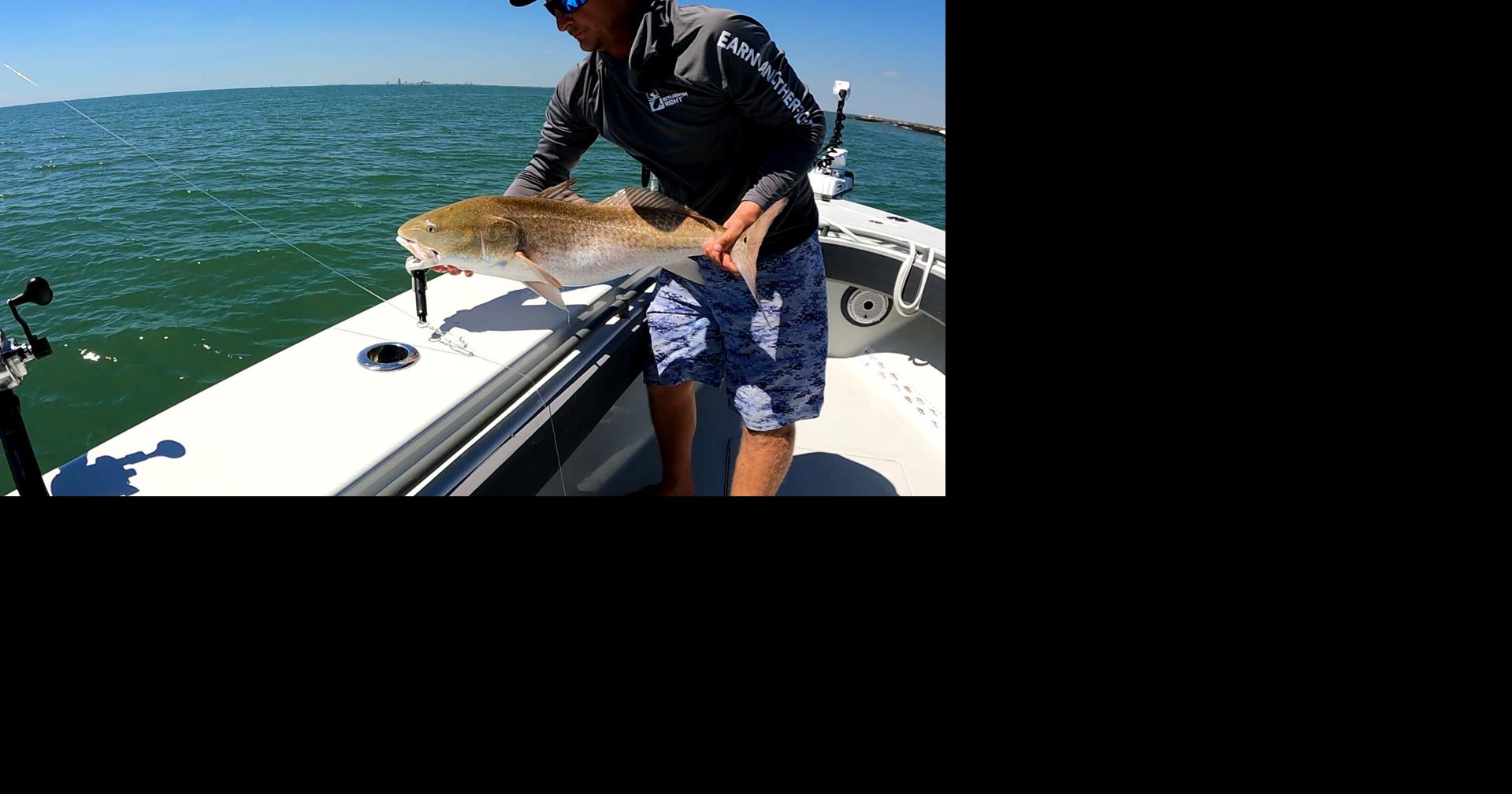 Researchers warn about releasing fish with signs of trauma | Local News ...