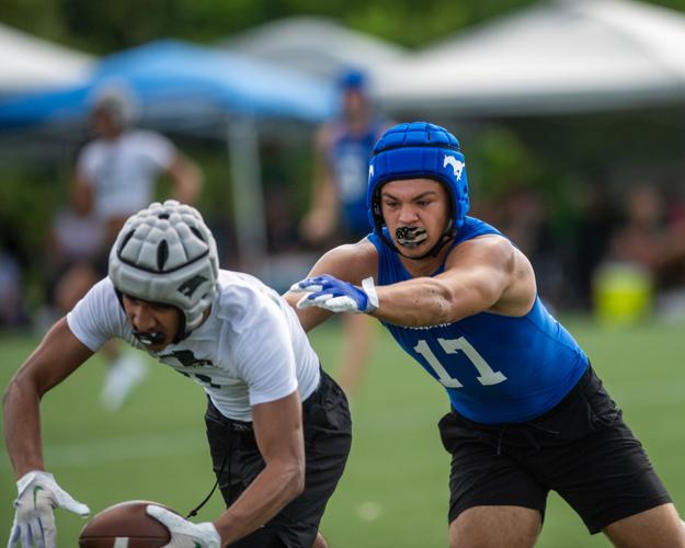 Hitchcock three-peat falls short, others get in on action at state 7on7 ...