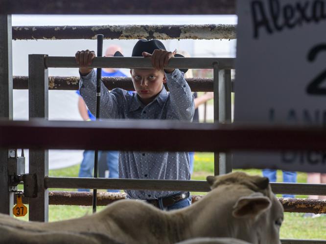 Galveston County Fair & Rodeo continues | Local News | The Daily News