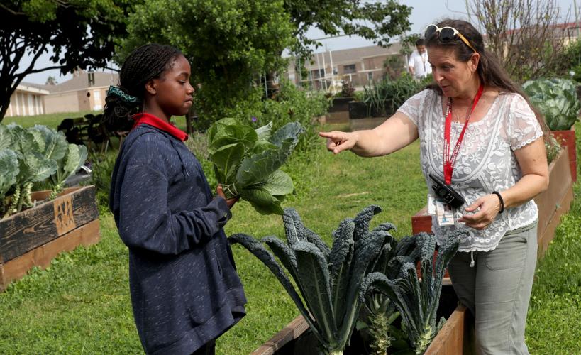 Young Galveston gardeners see success at first sale | Local News | The ...