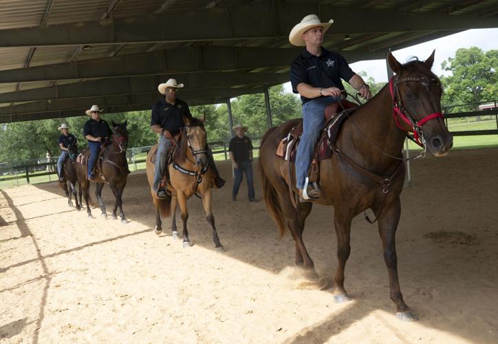 Galveston Sheriff's Office is mounting up | Local News | The Daily News